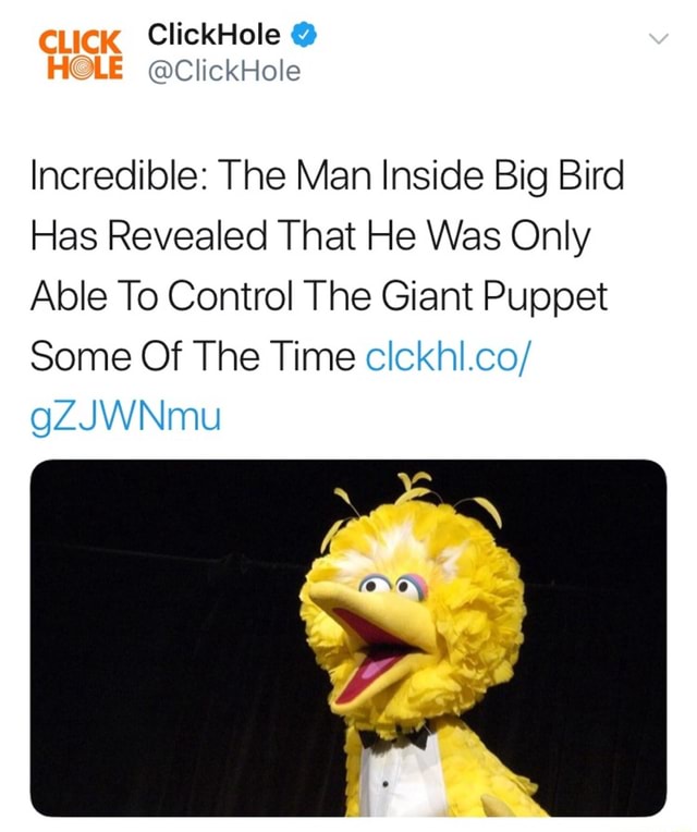 Incredible: The Man Inside Big Bird Has Revealed That He Was Only Able ...