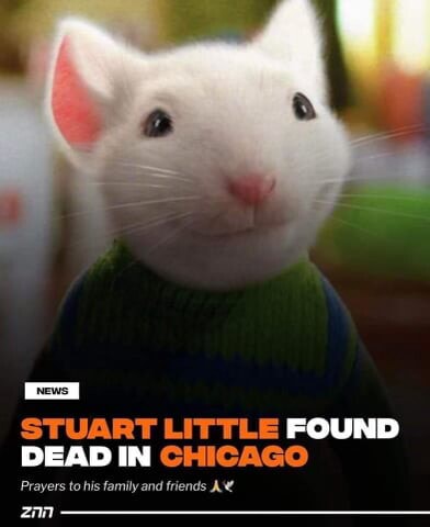 STUART LITTLE FOUND DEAD IN CHICAGO Prayers to his family and friends ...