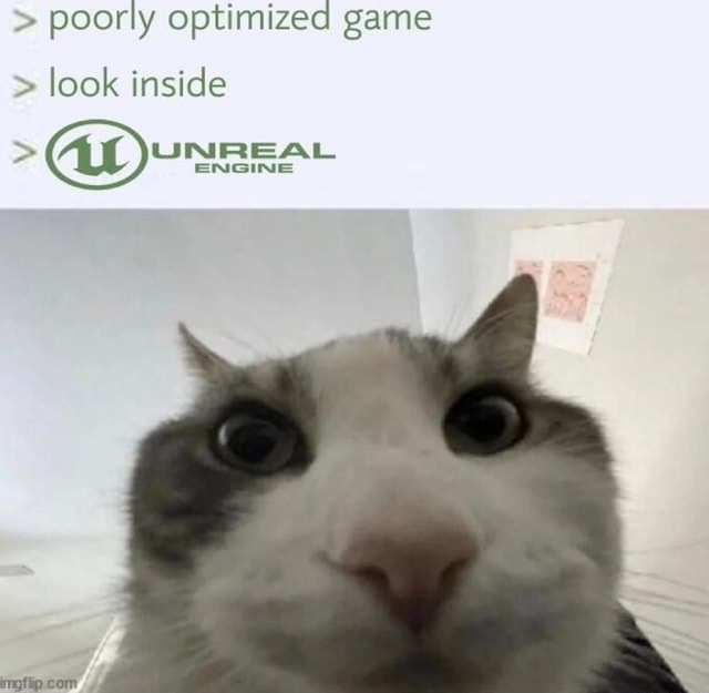 Poorly optimized game look inside - iFunny