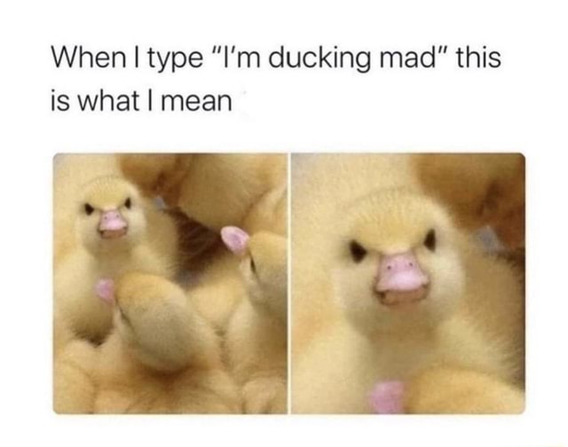 When I type "I'm ducking mad" this is what I mean - iFunny