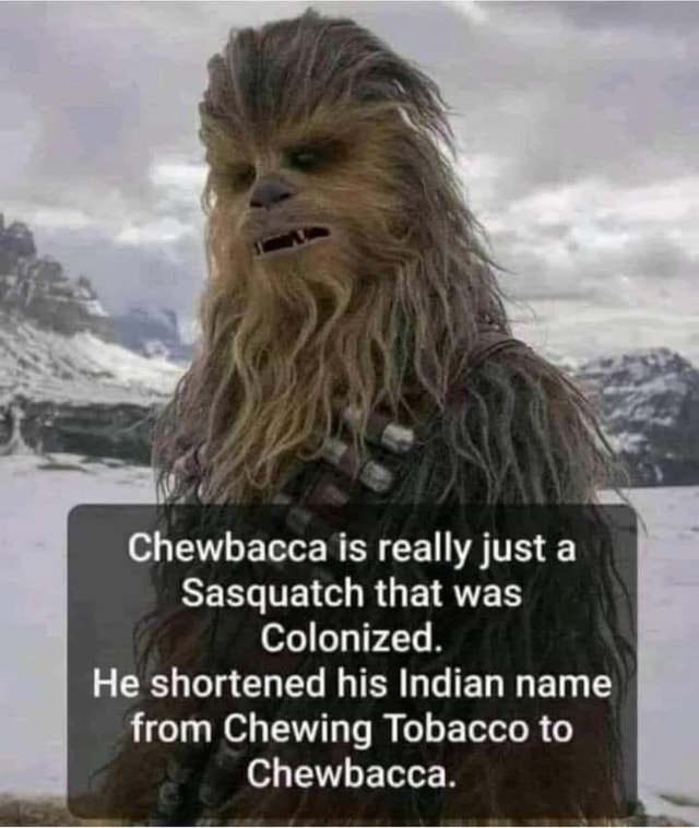 Hahahaha - Chewbacca is really just a Sasquatch that was Colonized. He ...