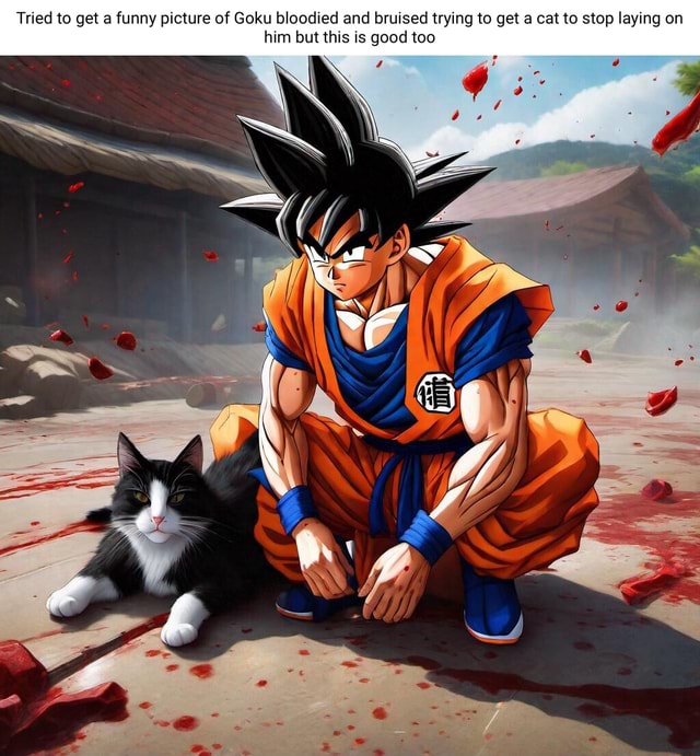 Tried to get a funny picture of Goku bloodied and bruised trying to get ...