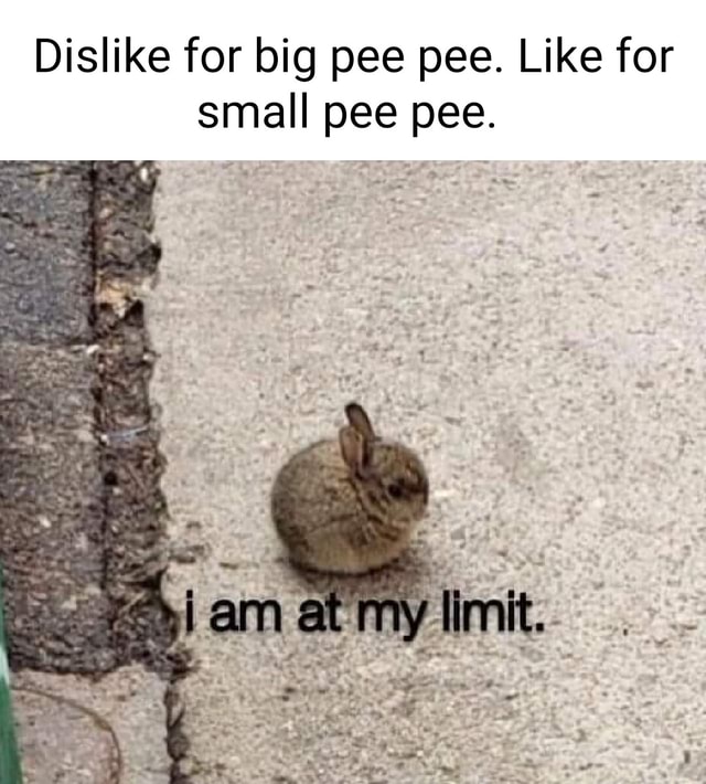 Dislike For Big Pee Pee Like For Small Pee Pee Ifunny