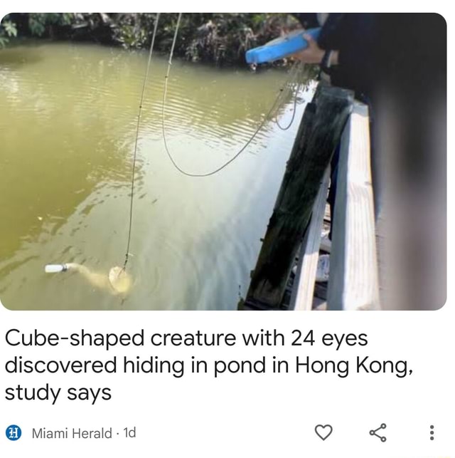 Cube-shaped creature with 24 eyes discovered hiding in pond in Hong ...