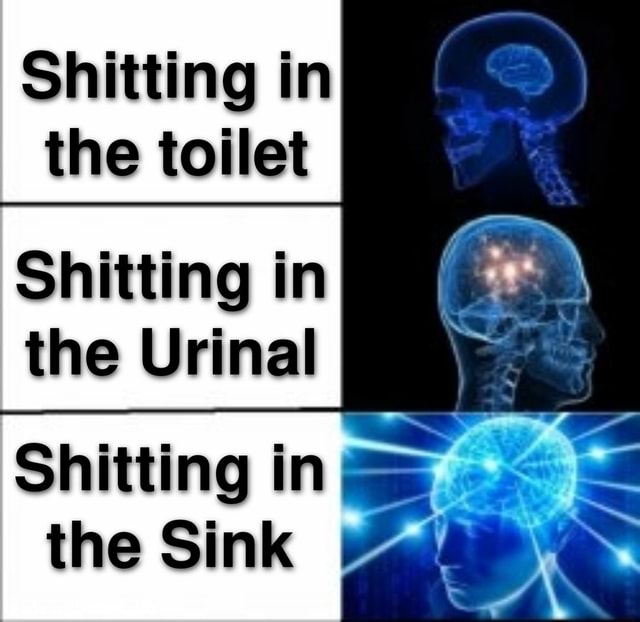 Shitting in the toilet Shitting in the Urinal Shitting in the Sink - iFunny