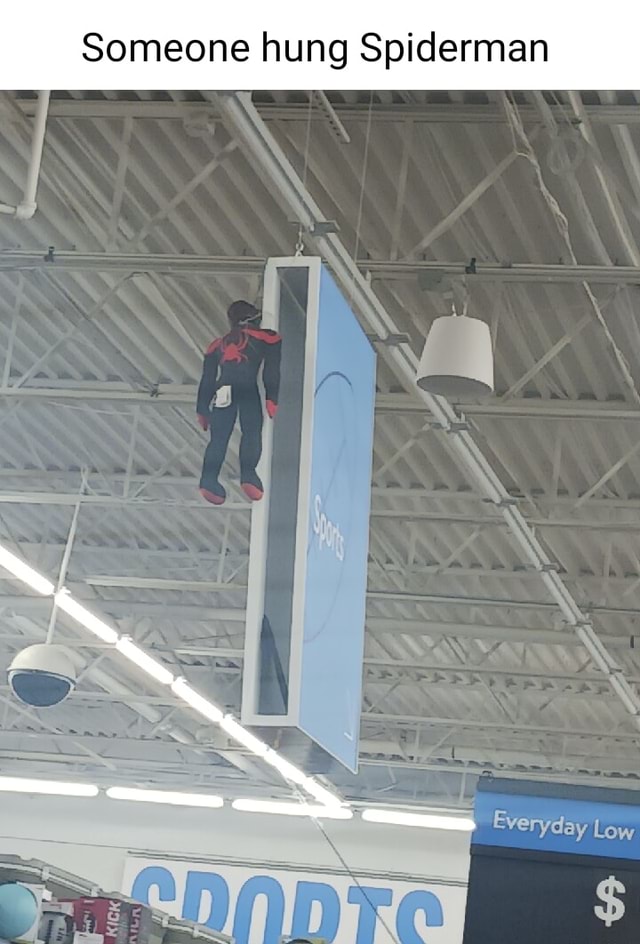Someone hung Spider man \ \ - iFunny
