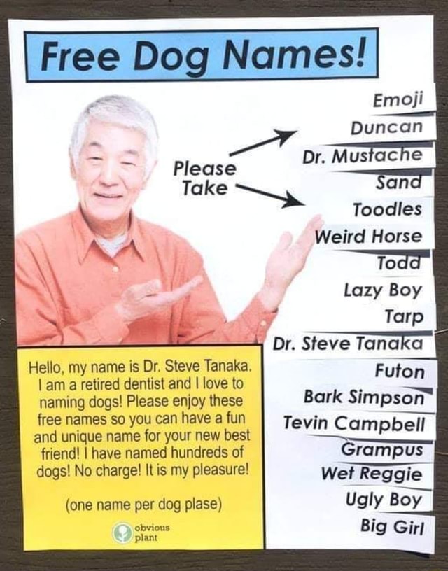 Free Dog Names! Tarp Dr. Steve Tanaka Hello, my name is Dr. Steve ...