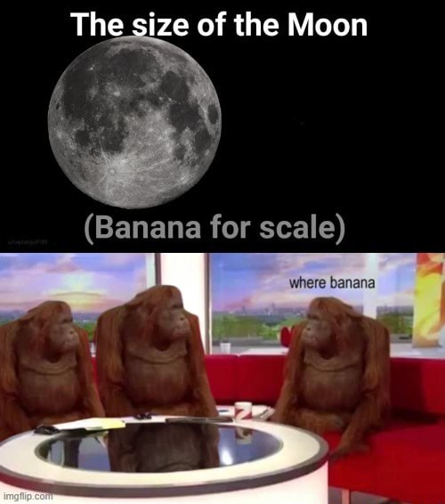 The size of the Moon (Banana for scale) - iFunny
