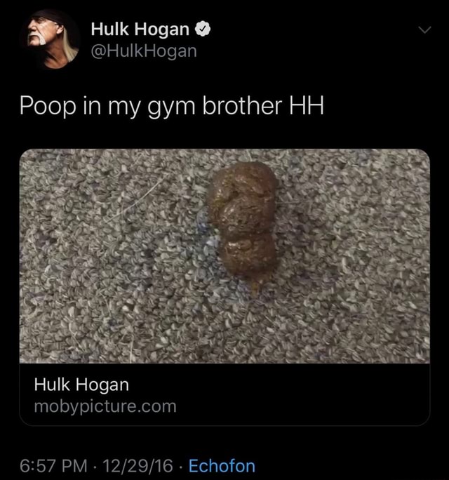 Poop in my gym brother HH Hulk Hogan @HulkHogan Hulk Hogan PM ...