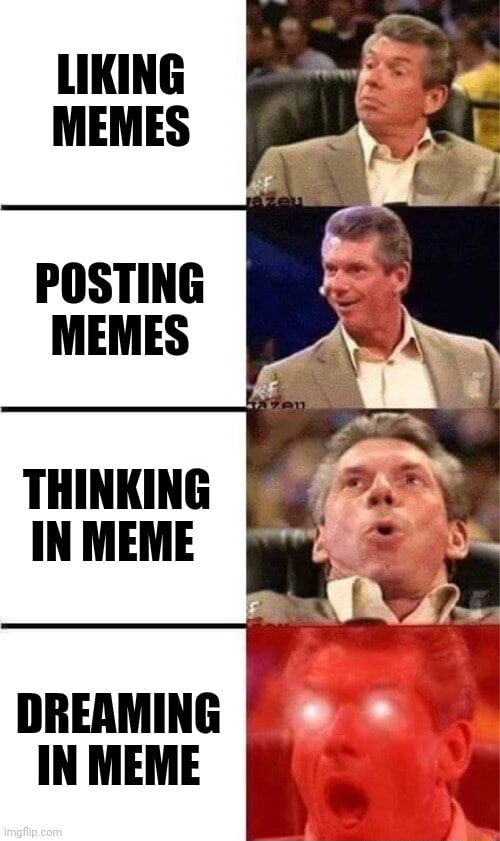 LIKING MEMES POSTING THINKING IN MEME DREAMING IN MEME - iFunny