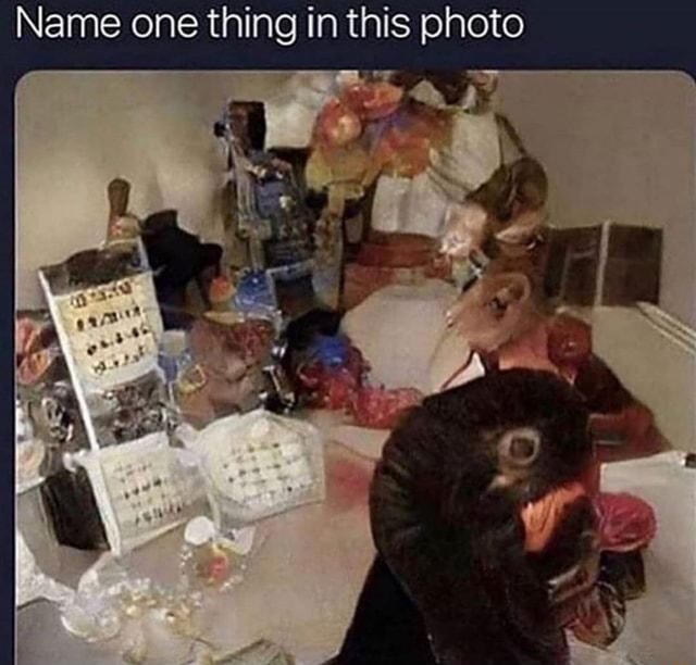 Name one thing in this photo - iFunny