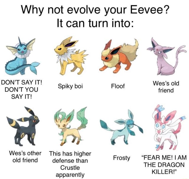 Why not evolve your Eevee? It can turn into: DON'T SAY IT! Wes's old ...