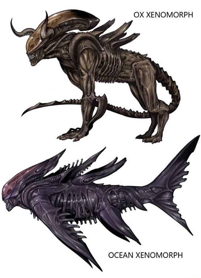 OX XENOMORPH OCEAN XENOMORPH - iFunny