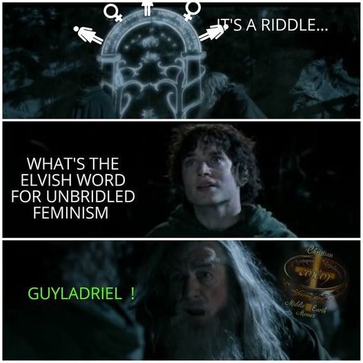 *Bonus Meme ~Smaug - RIDDLE... SS WHAT'S THE ELVISH WORD FOR UNBRIDLED ...
