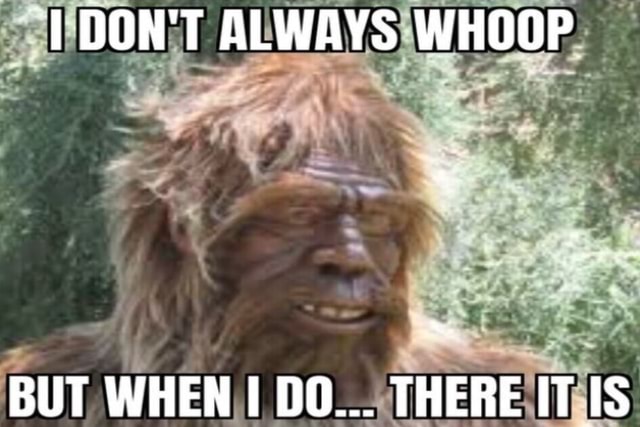 DON'T ALWAYS WHOOP BUT WHEN I DO... THERE IT IS - iFunny