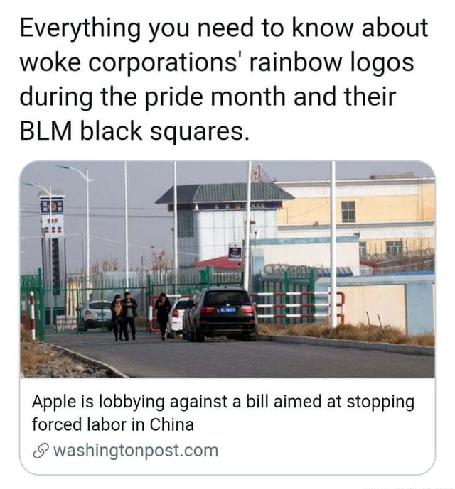 China - Everything you need to know about woke corporations' rainbow ...