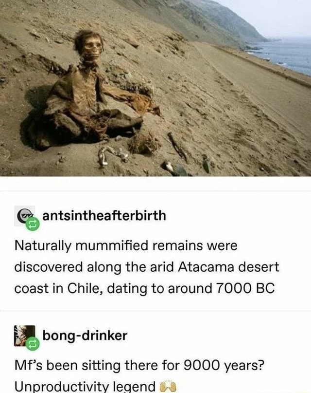 Antsintheafterbirth Naturally mummified remains were discovered along ...