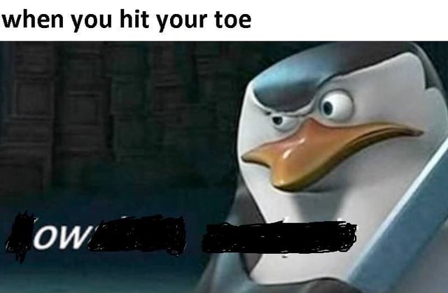 Kowalski memes - when you hit your toe Ow - iFunny