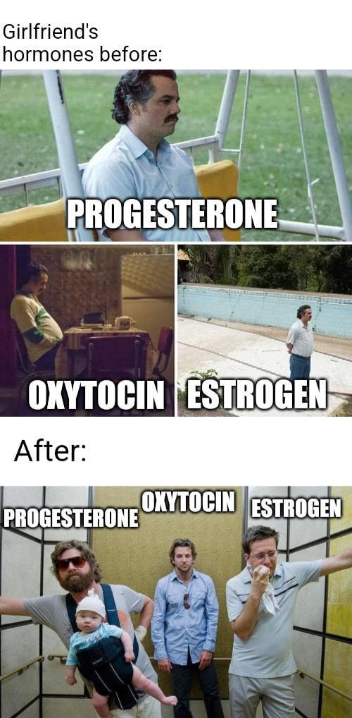 Girlfriend's hormones before: PROGESTERON_ OXVTOCIN /ESTROGEN After ...