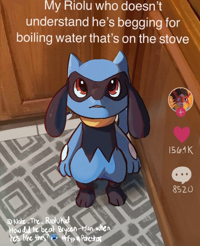 My Riolu who doesn't understand he's begging for boiling water that's ...