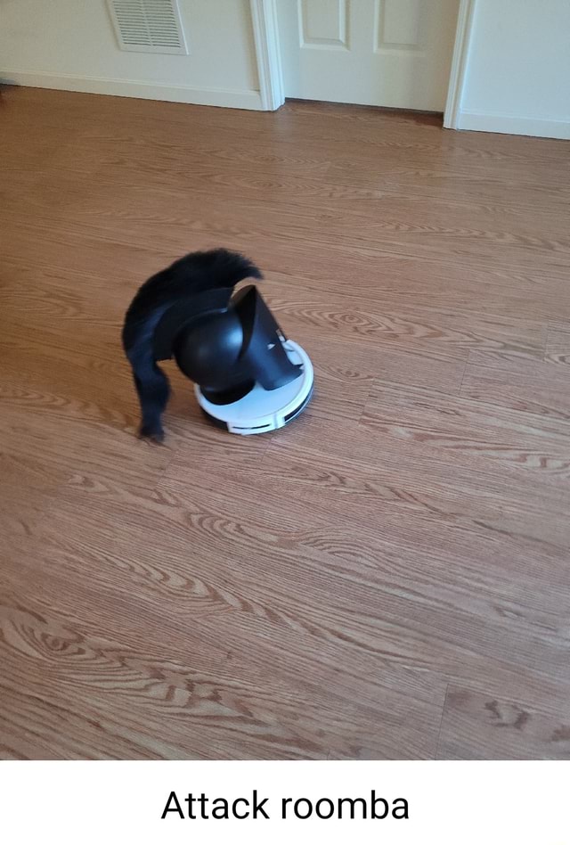 Attack roomba - iFunny