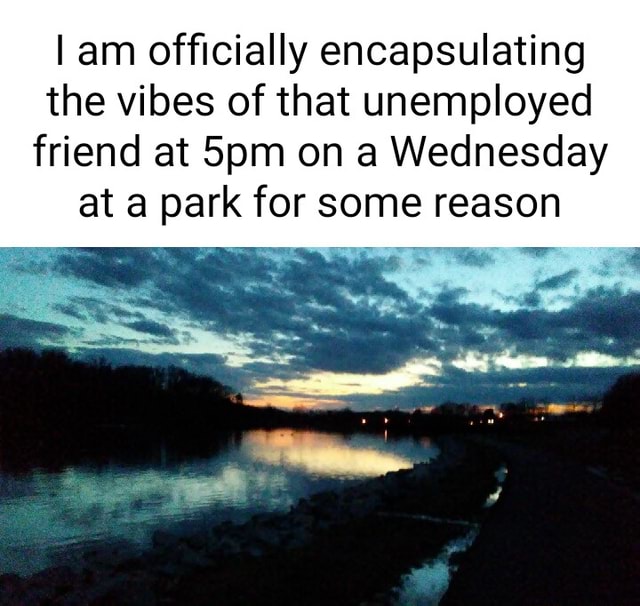 I am officially encapsulating the vibes of that unemployed friend at ...