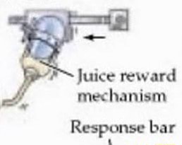 Juice reward mechanism Response bar - iFunny