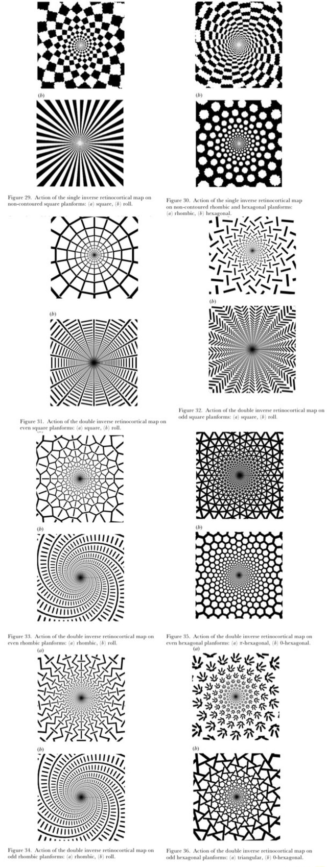 NZ Action Figure 31, Action of the double inverse re all Figure 93 ...