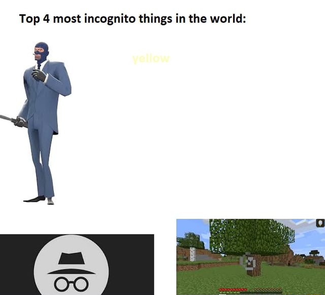Top 4 most incognito things in the world: - iFunny