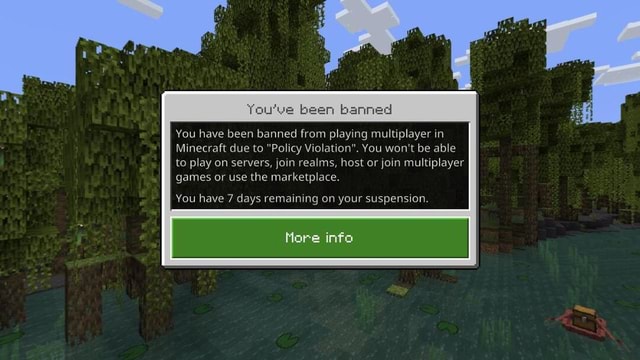 You've been banned You have been banned from playing multiplayer in ...