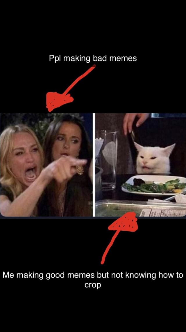 Ppl making bad memes Me making good memes but not knowing how to crop ...