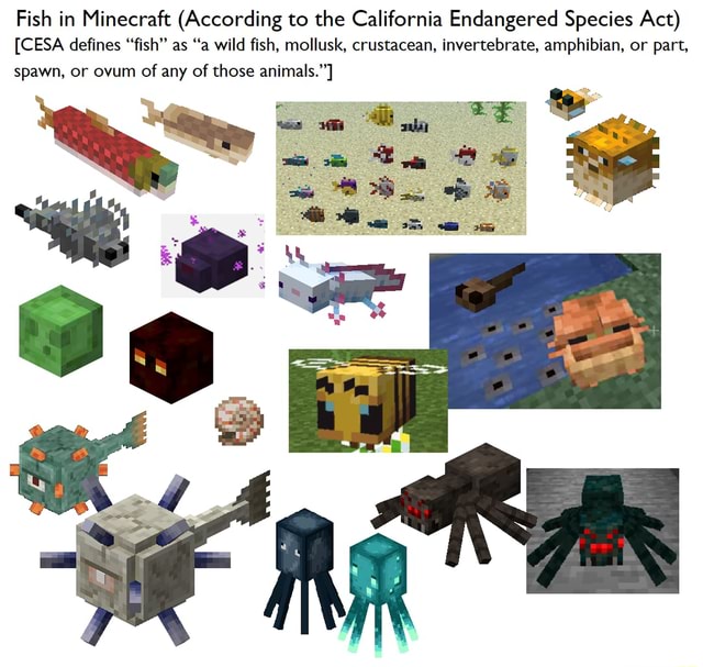 Fish in Minecraft (According to the California Endangered Species Act ...