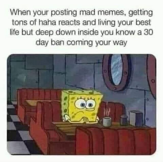 When your posting mad memes, getting tons of haha reacts and living ...