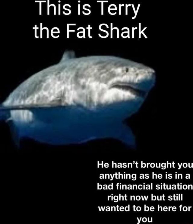 This is Terry the Fat Shark He hasn't brought you anything as he is ina ...