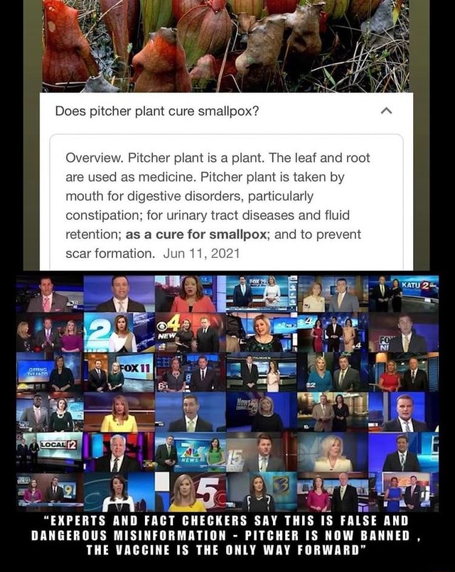 Does pitcher plant cure smallpox? Overview. Pitcher plant is a plant ...