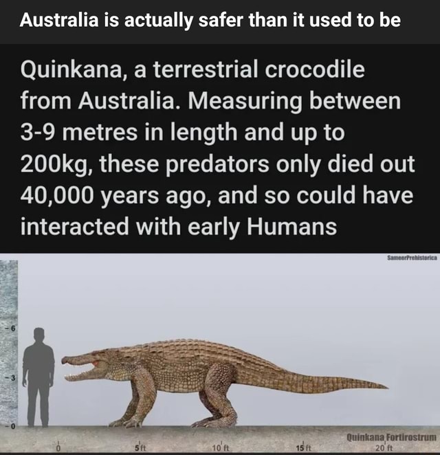 Australia is actually safer than it used to be Quinkana, a terrestrial ...