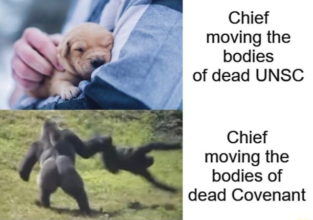 Chief moving the bodies of dead UNSC Chief moving the bodies of dead ...