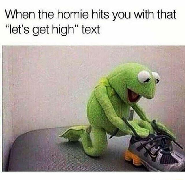 When the homie hits you with that "let’s get high" text - iFunny