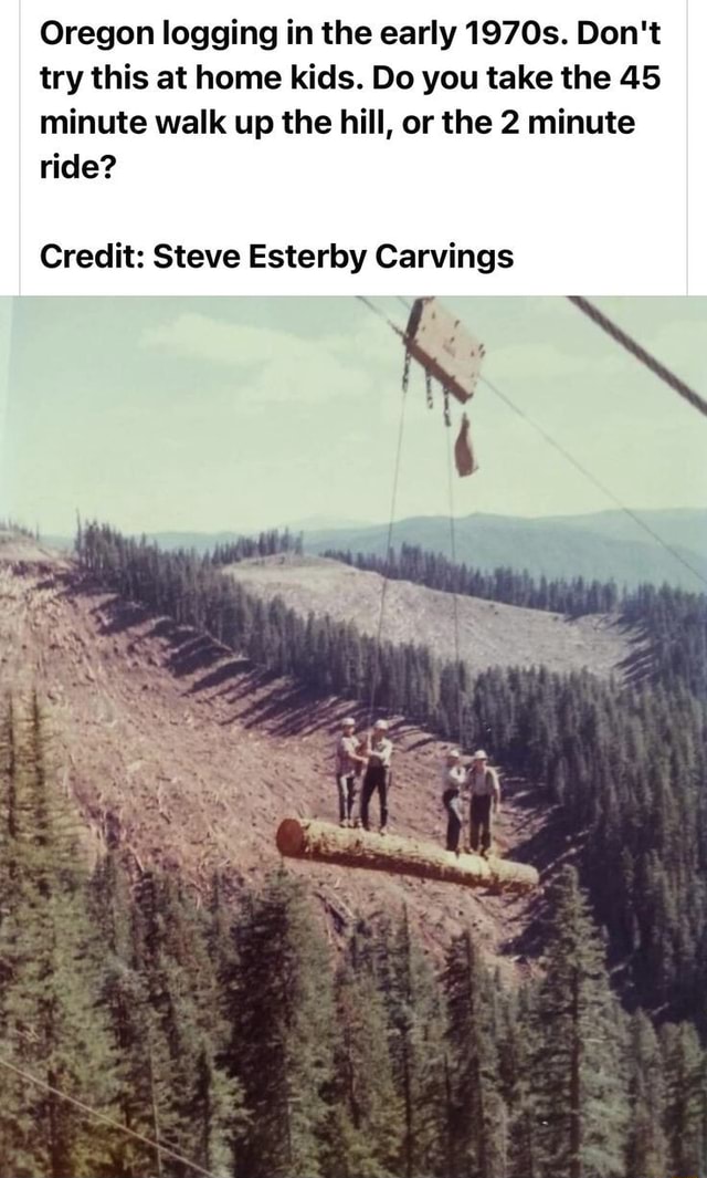 Oregon logging in the early 1970s. Don't try this at home kids. Do you ...