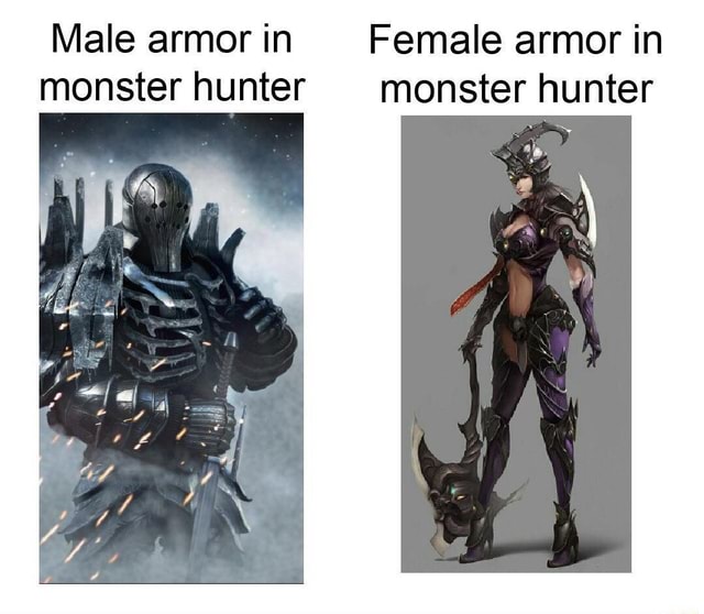 Male armor in Female armor in monster hunter monster hunter - iFunny