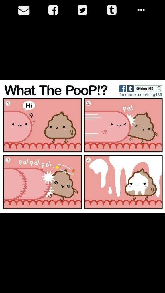28 OO 8 What The PooP!? pal - America’s best pics and videos
