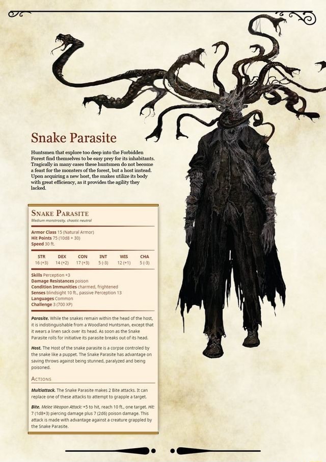 Snake Parasite Huntsmen that explore too deep into the Forbidden Forest ...