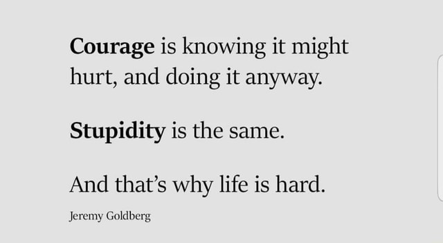 Courage is knowing it might hurt, and doing it anyway. Stupidity is the ...