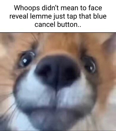 Whoops didn't mean to face reveal lemme just tap that blue cancel ...