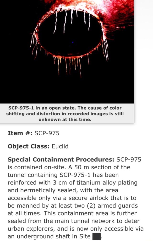 SCP-975-1 in an open state. The cause of color shifting and distortion ...