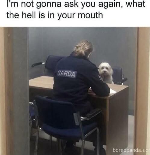 Not gonna ask you again, what the hell is in your mouth - iFunny