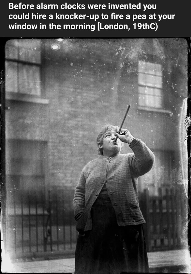 Before alarm clocks were invented you could hire a knocker-up to fire a ...