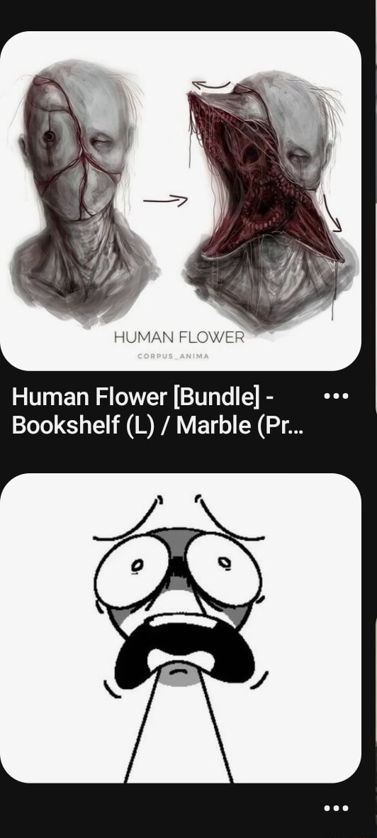 HUMAN FLOWER Human Flower [Bundle] - Bookshelf (L) / Marble (Pr... - iFunny
