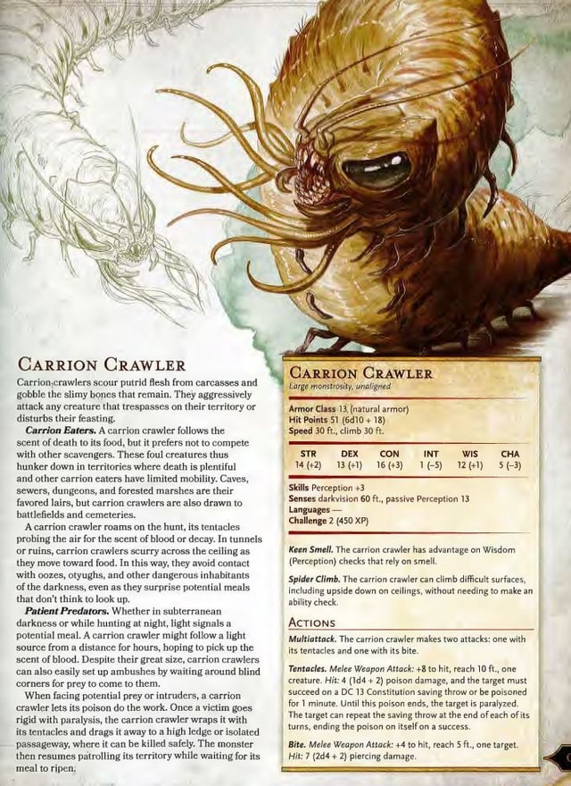 CARRION CRAWLER Carrion,crawlers scour putrid flesh from carcasses and ...