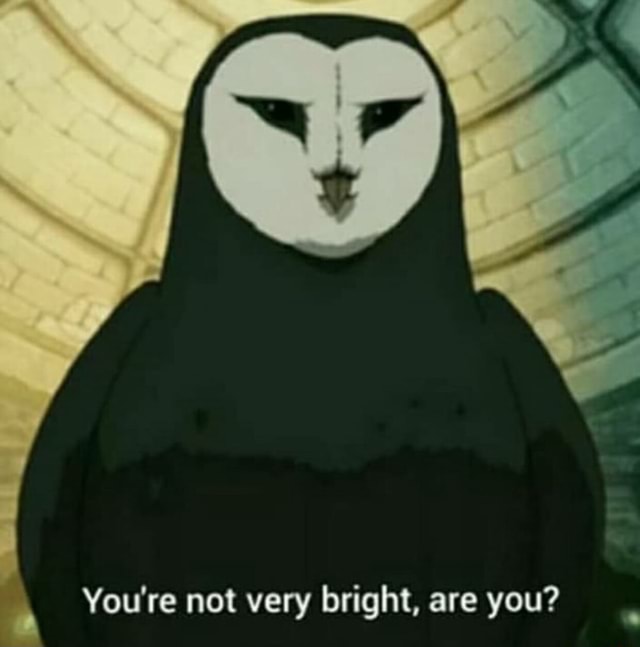 N You're not very bright, are you? - iFunny
